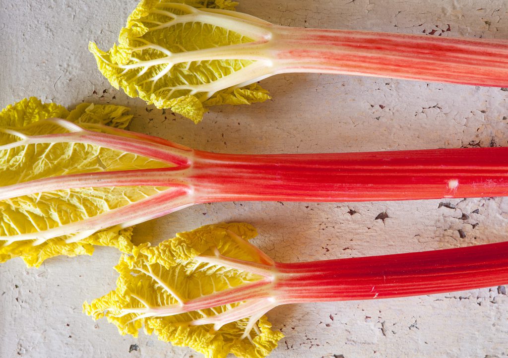 Forced Rhubarb - clivenichols.com clivenichols.com