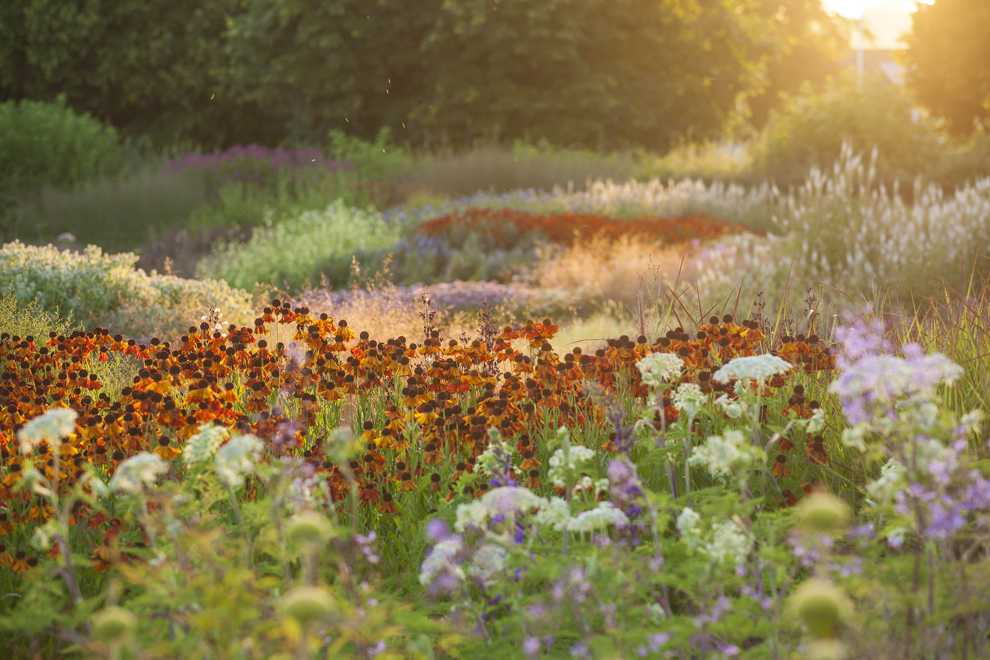 About - clivenichols.com